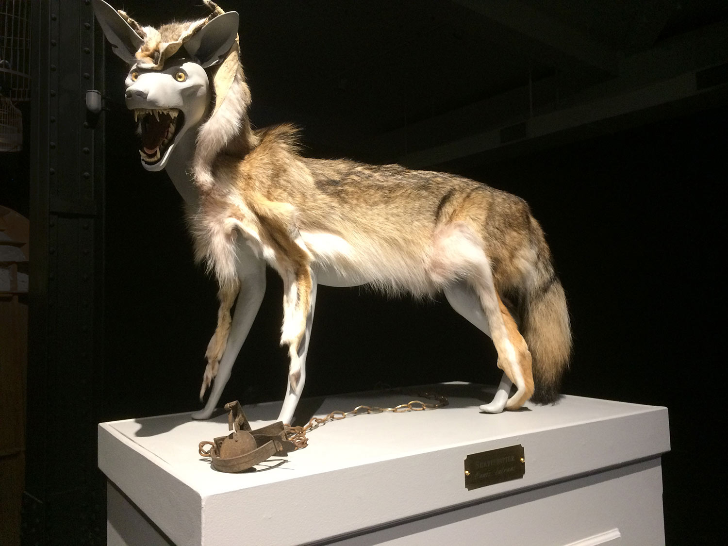 Shapeshifter – Shaun Slifer